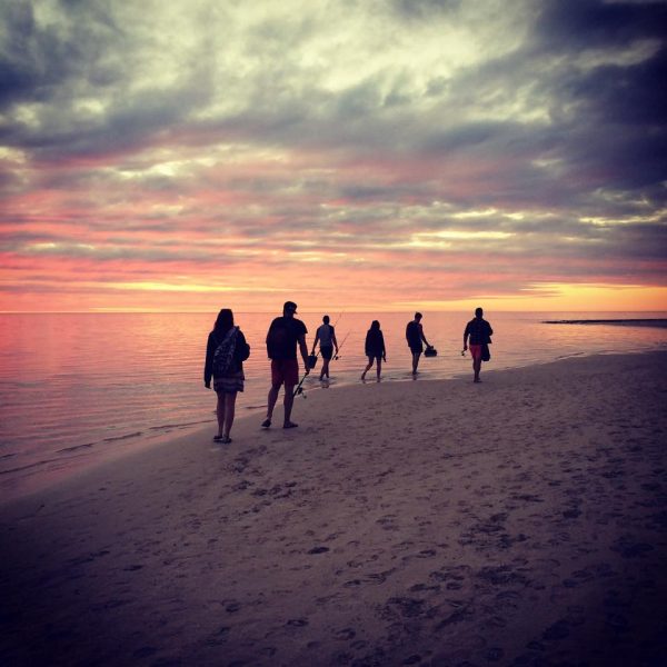The Magic Bus Australia - Backpacker road trips. Travels monthly.